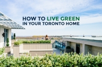 How to Live Green in Your Toronto Home or Condo
