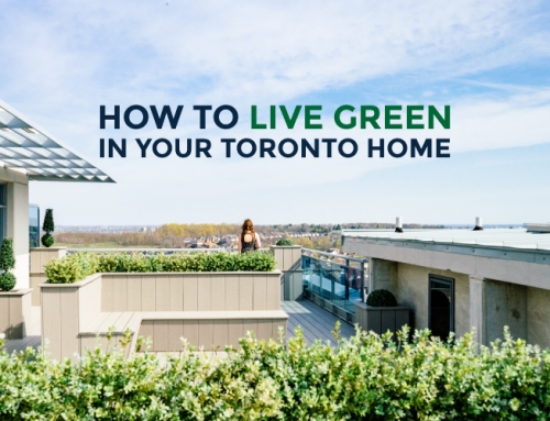 Making the Most of Your Condo Balcony - Ideas and Inspiration