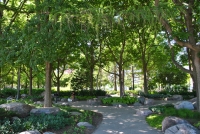 Bathurst Quay Toronto Revitalization Plans | Toronto Waterfront